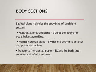 4. Anatomical terms.ppt