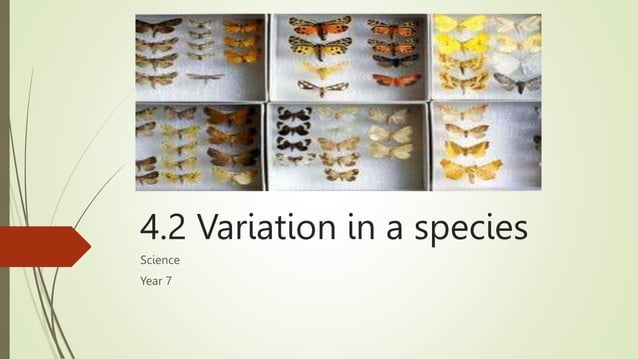 4.2 variation in a species.pptx