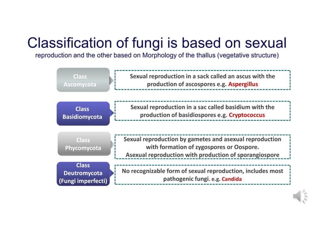 4. Classification of Fungi.pdf