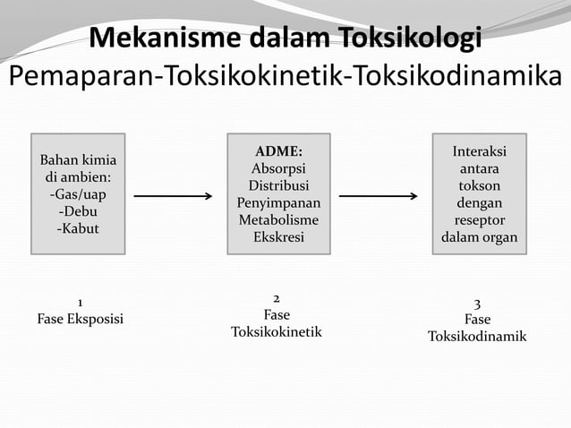 4. TOKSIKOLOGI.pptx
