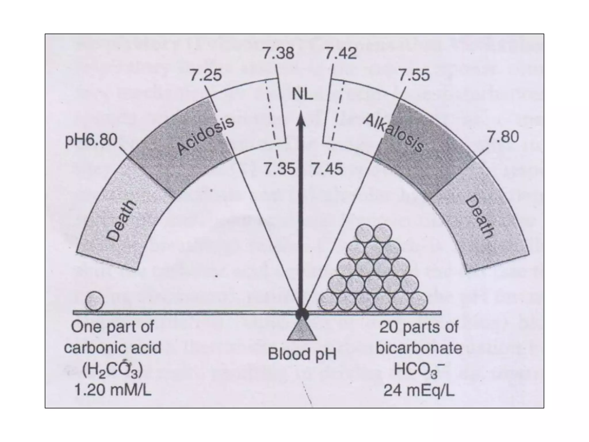 4. Acid base balance (Biochemistry) | PPTX