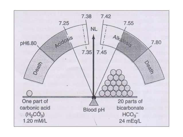 4. Acid base balance (Biochemistry) | PPTX | Lung and Respiratory ...