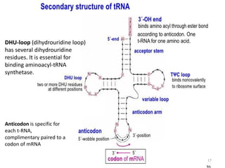 4.Supramolecular protein complexes.pdf