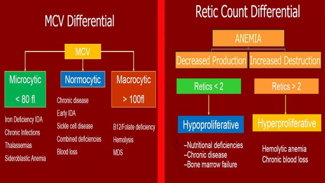 4.Haemogram Interpretation.pdf | Blood Disorders | Diseases and Conditions