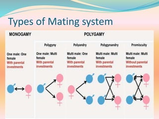 Mating-and-Conservation.pptx