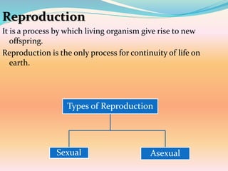 Mating-and-Conservation.pptx