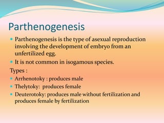 Mating-and-Conservation.pptx