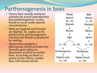 Mating-and-Conservation.pptx