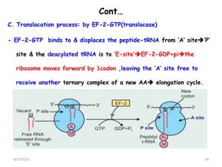 4. Translation 2.pptx | Programming Languages | Computing