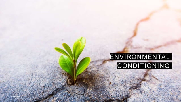 4. Unlocking the Biological Self.pptx | Sexual Health | Diseases and ...