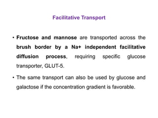 Digestion & absorption of carbohydrate.pptx