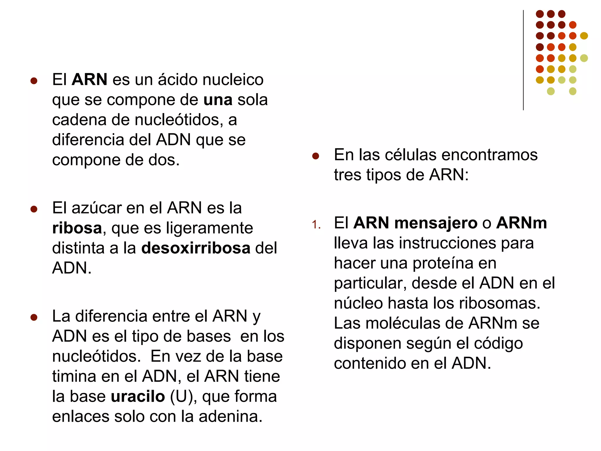 4.2 Código genético y síntesis de proteínas PRISCILA.ppt