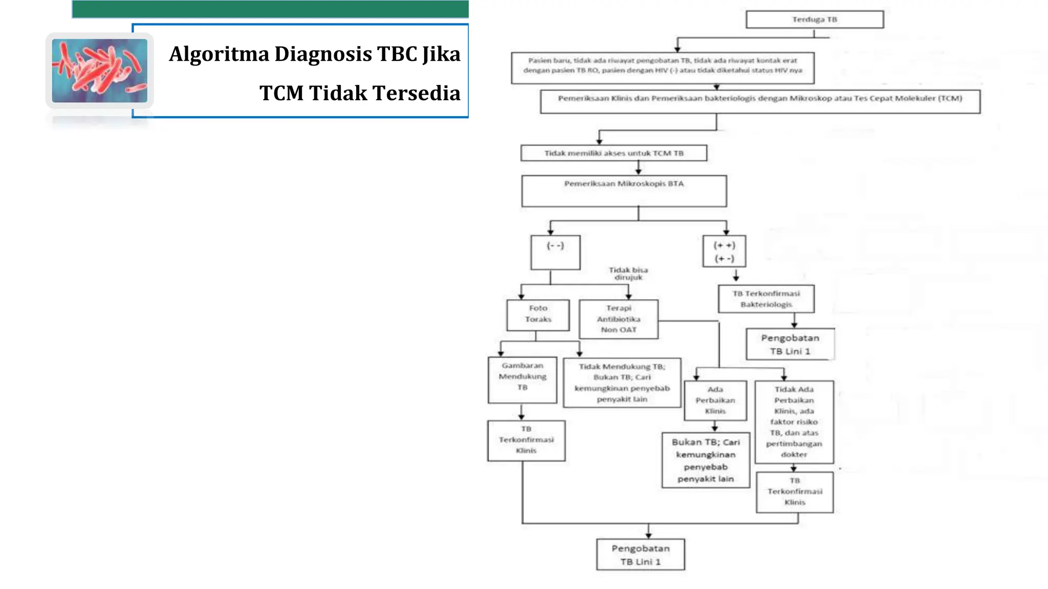 4. Diagnosis TBC pada Dewasa OK.pptx