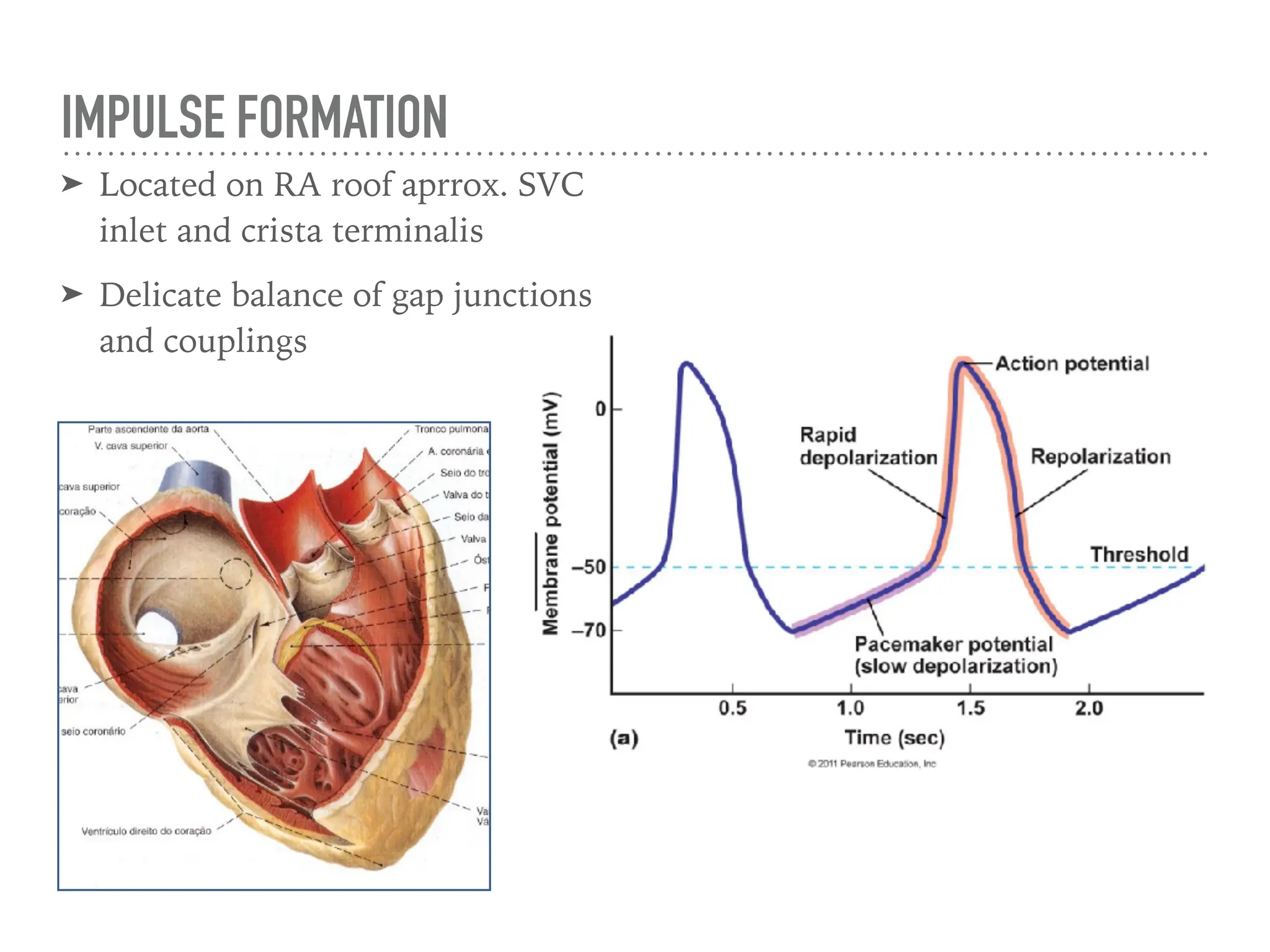 4. Impulse Abnormality.pdf