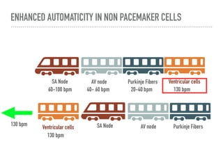 4. Impulse Abnormality.pdf