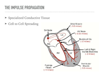 4. Impulse Abnormality.pdf