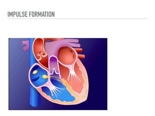 4. Impulse Abnormality.pdf