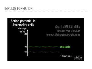 4. Impulse Abnormality.pdf