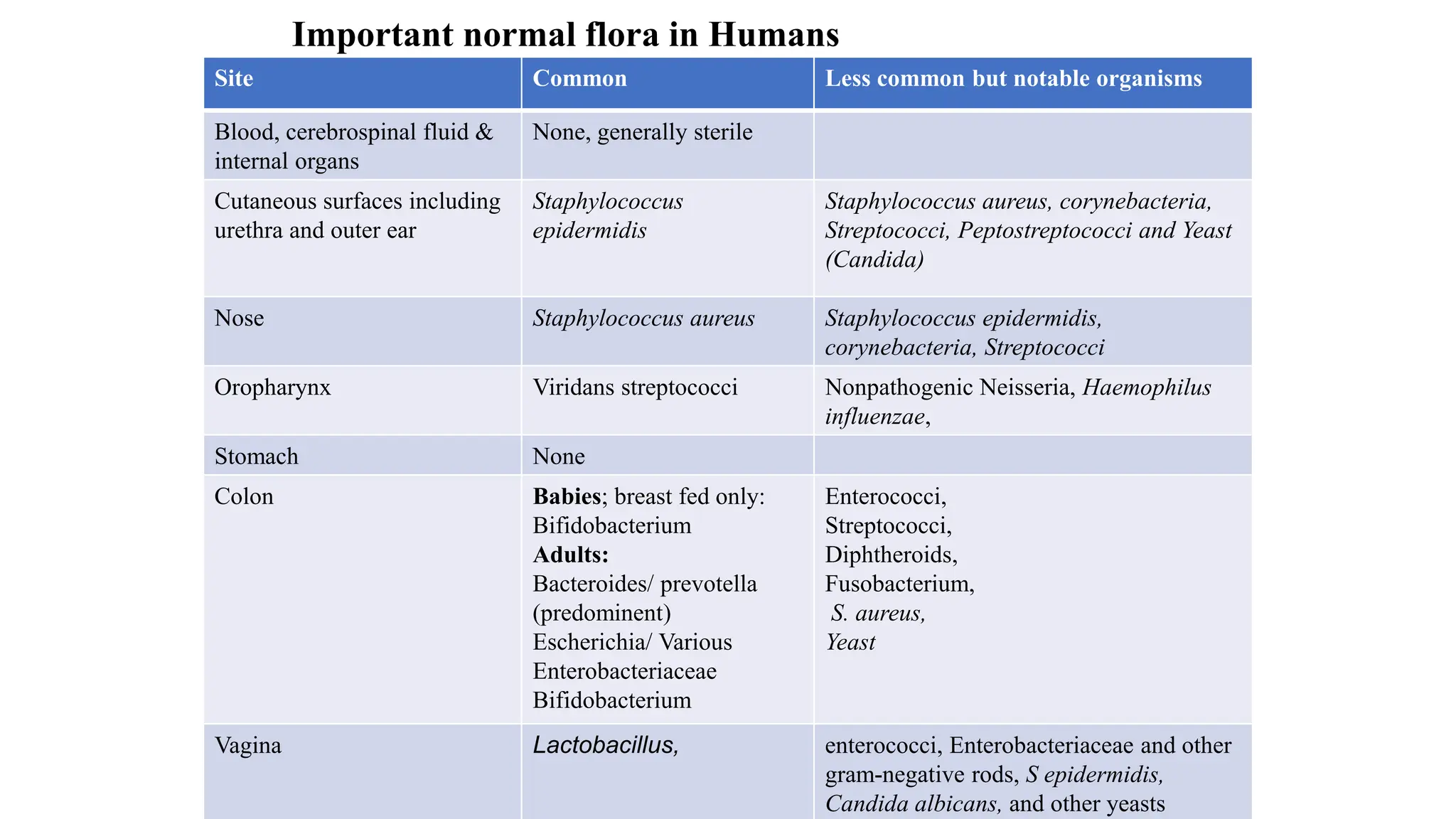 4. Normal Flora and Bacterial Pathogenesis.pptx