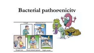 4. Normal Flora and Bacterial Pathogenesis.pptx | Infectious Diseases ...