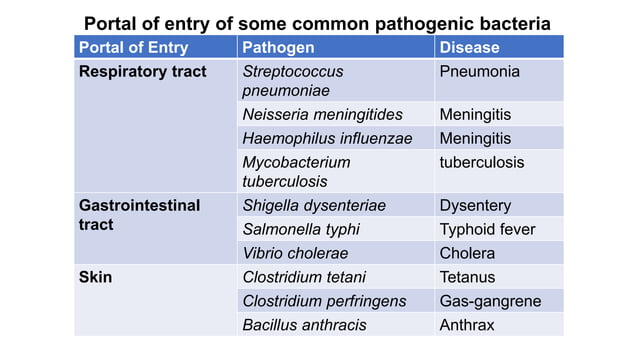 4. Normal Flora and Bacterial Pathogenesis.pptx | Infectious Diseases ...
