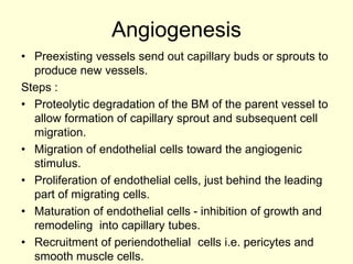 4. wound Healing.ppt