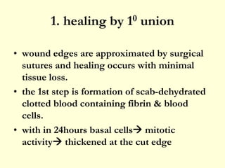 4. wound Healing.ppt