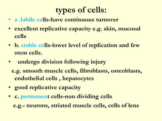 4. wound Healing.ppt
