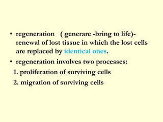 4. wound Healing.ppt