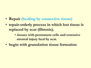 4. wound Healing.ppt