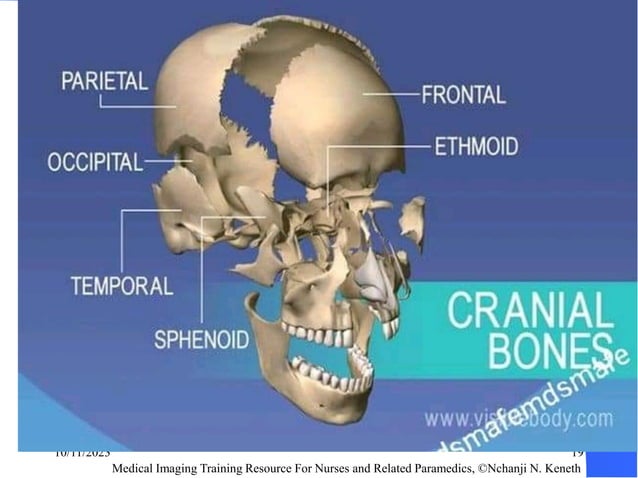 4. SRN 300 Skull Radiography and Pathologies.pdf
