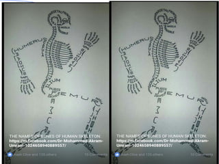 4. SRN 300 Skull Radiography and Pathologies.pdf
