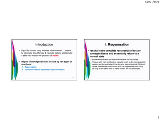 4. Tissue Repair.pdf