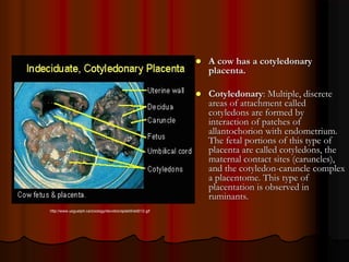 4.1. KULIAH KEMAJIRAN INTRODUCTION.pdf | Infertility | Reproductive Health