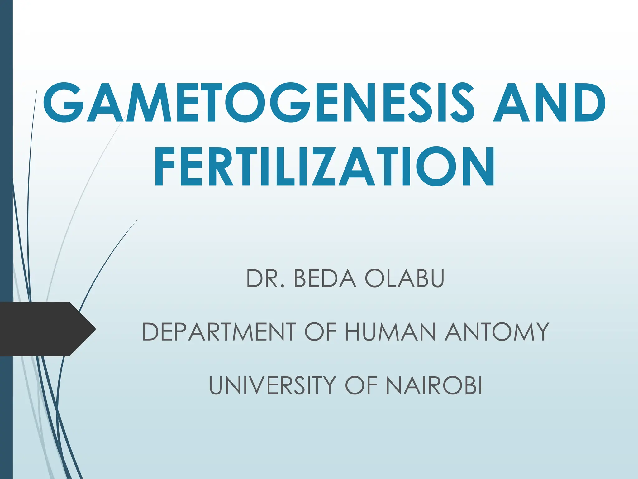 4. GAMETOGENESIS-2c FERTILIZATION AND FEMALE CYCLES.pdf