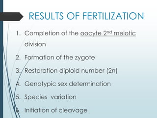4. GAMETOGENESIS-2c FERTILIZATION AND FEMALE CYCLES.pdf