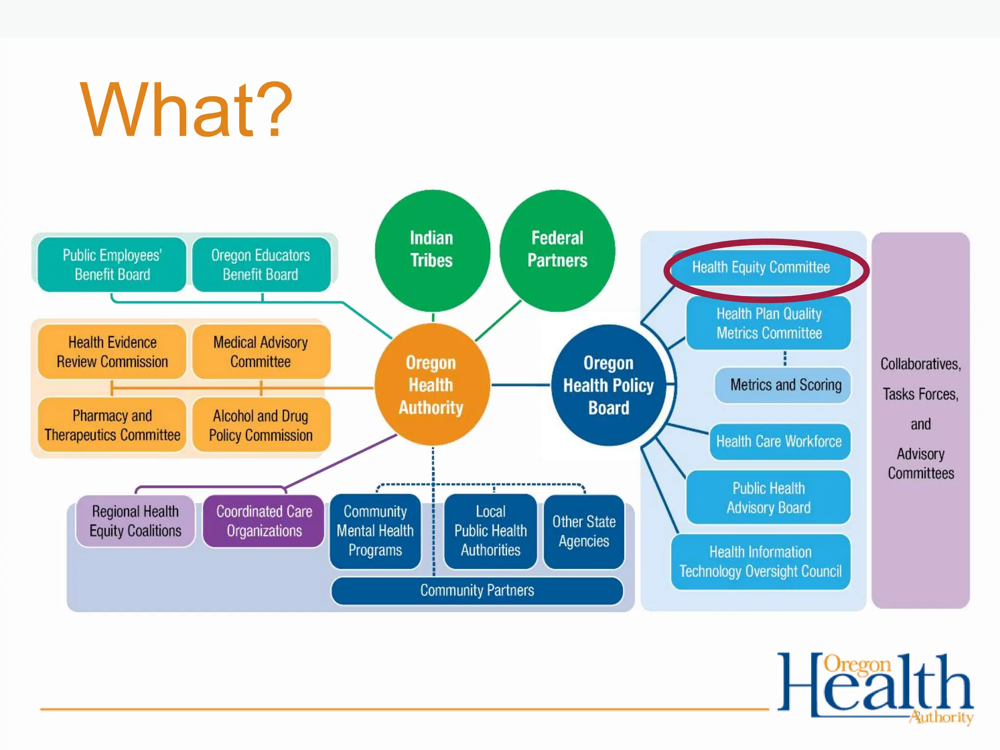 4. Presentation on Health Equity (1).ppt