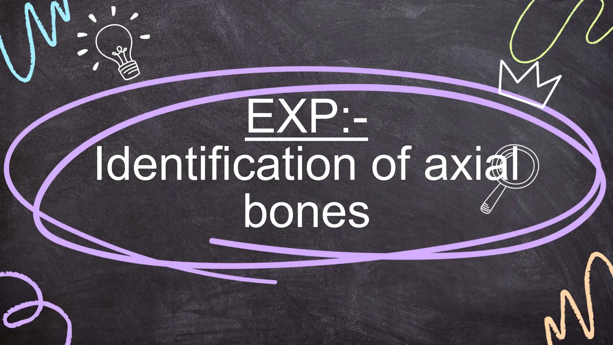 4.Identification of axial bones(BP107).pptx