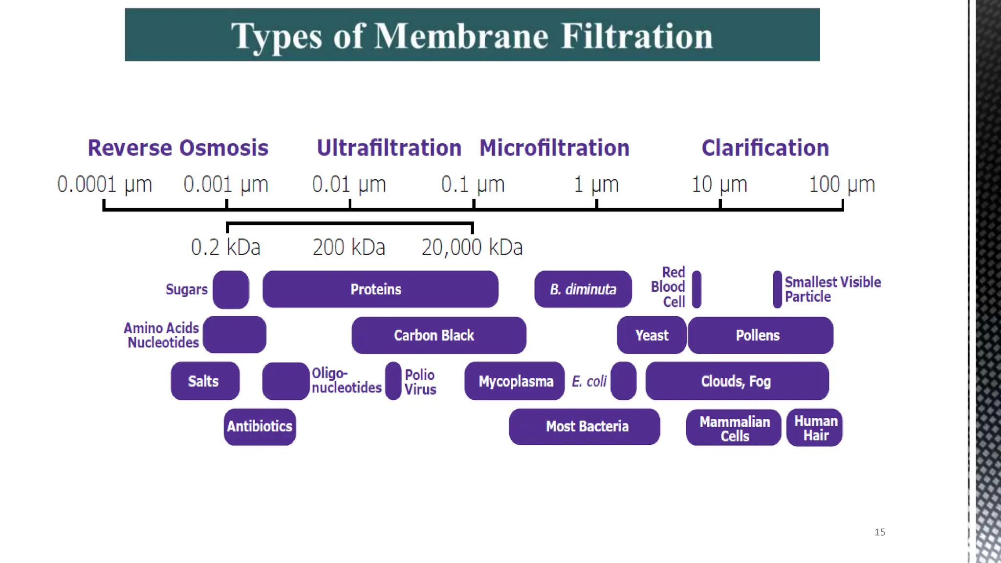 Membrane filtration technology specifically used during processing and ...