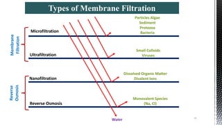 Membrane filtration technology specifically used during processing and ...