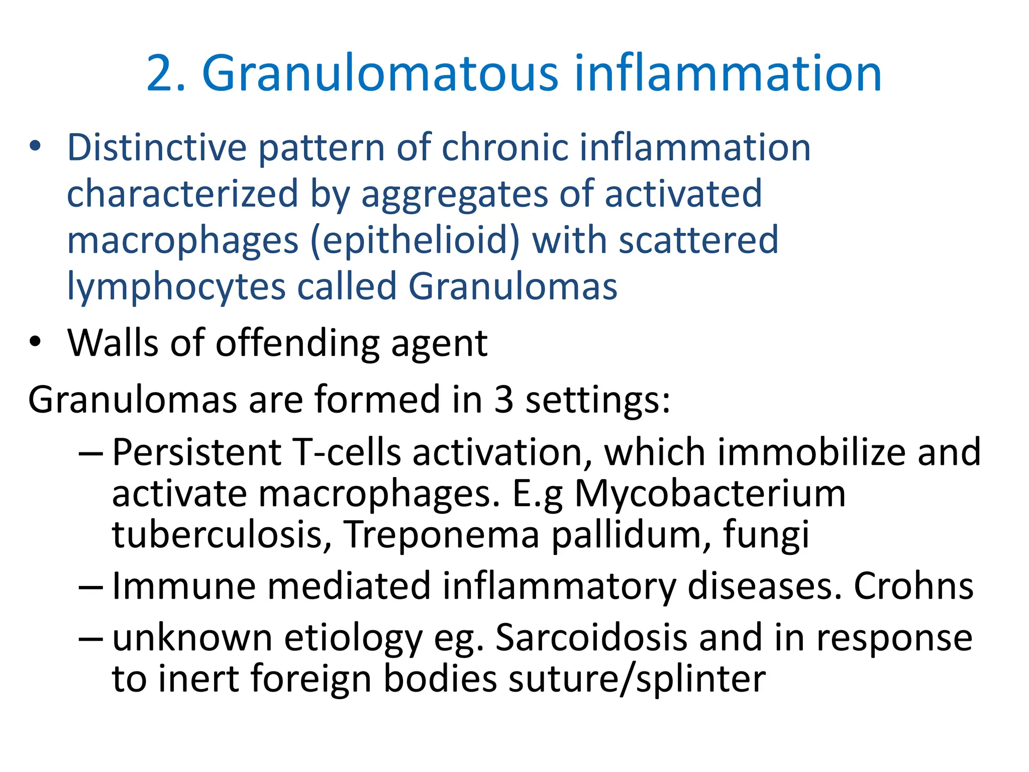 4. chronic inflammation.pptx