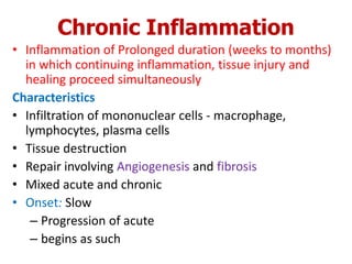 4. chronic inflammation.pptx