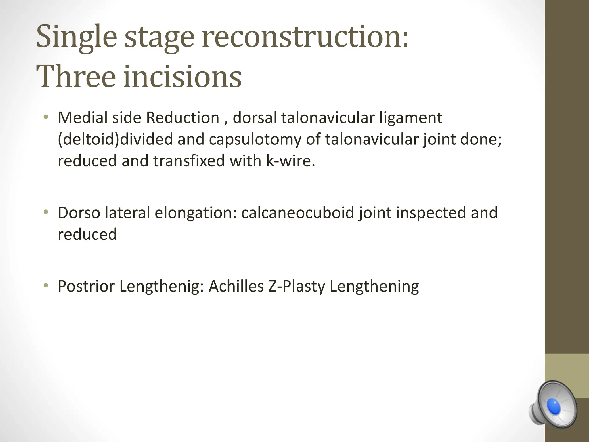VERTICA Talus AKU august2023.pptx