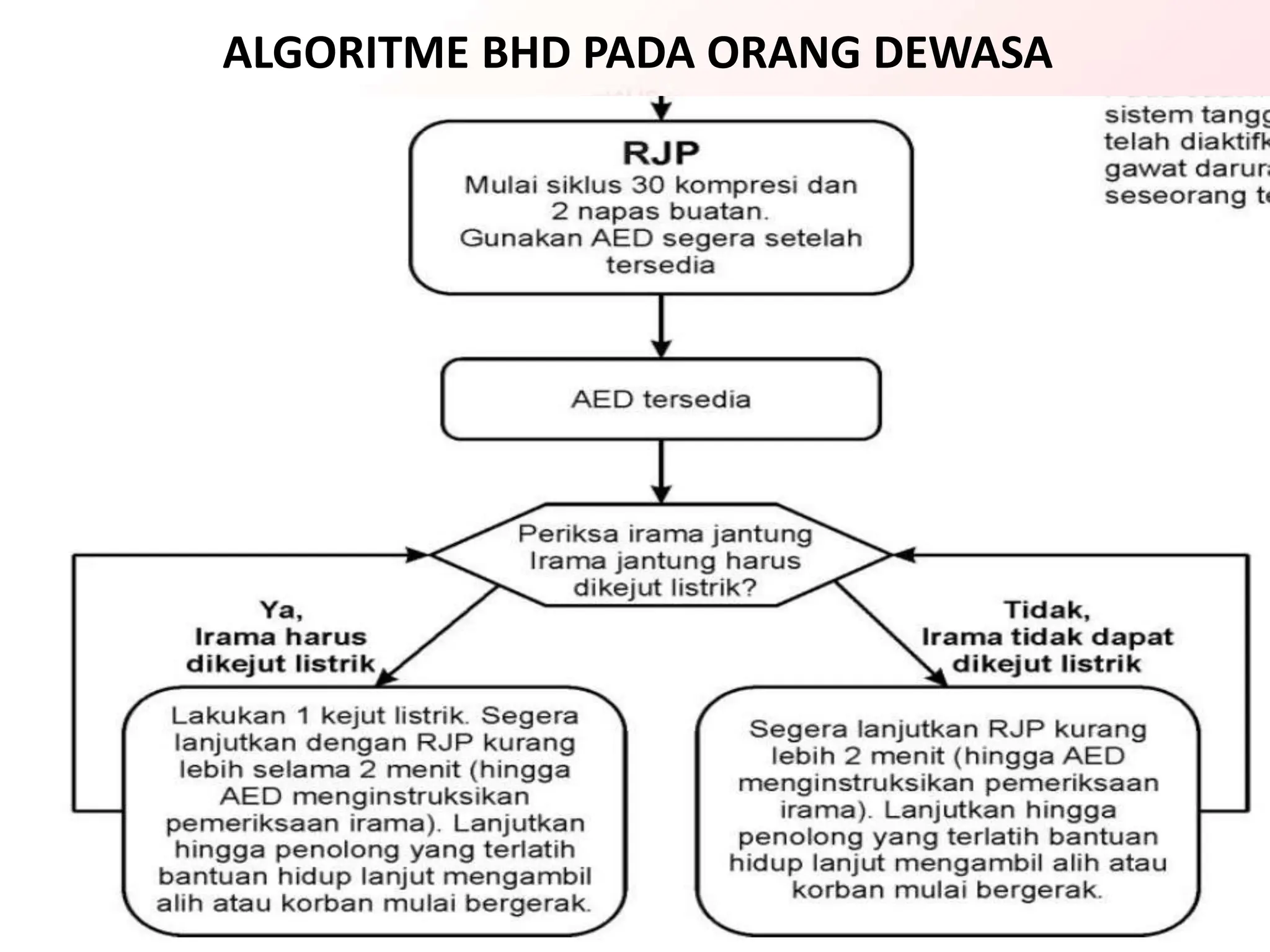 Bantuan Hidup Dasar (Basic cardiac life support)) | PPTX