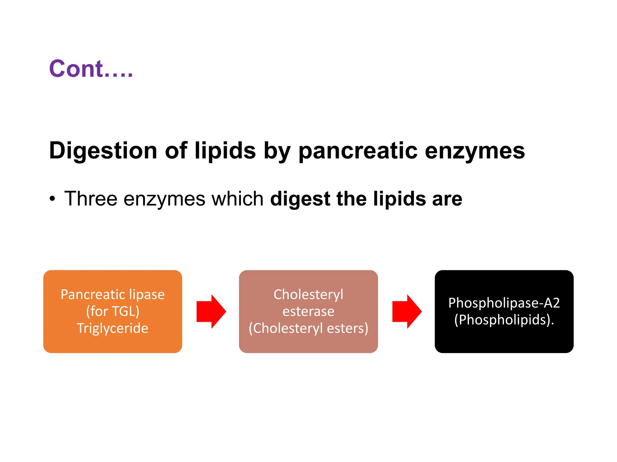 LIPIDS-Digestion and absorption of Lipids.pptx