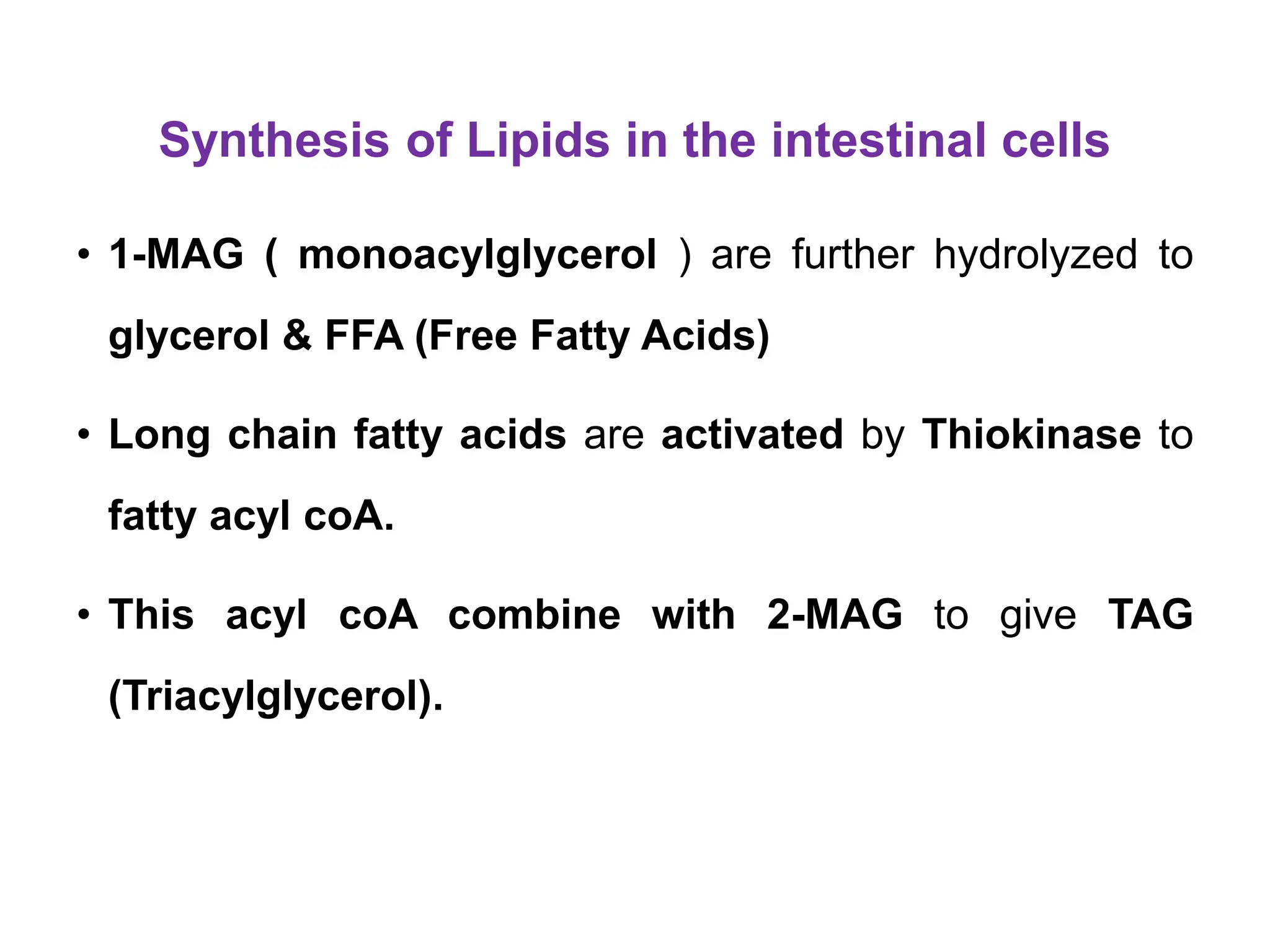 LIPIDS-Digestion and absorption of Lipids.pptx