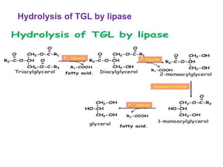 LIPIDS-Digestion and absorption of Lipids.pptx
