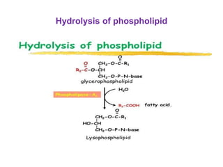 LIPIDS-Digestion and absorption of Lipids.pptx