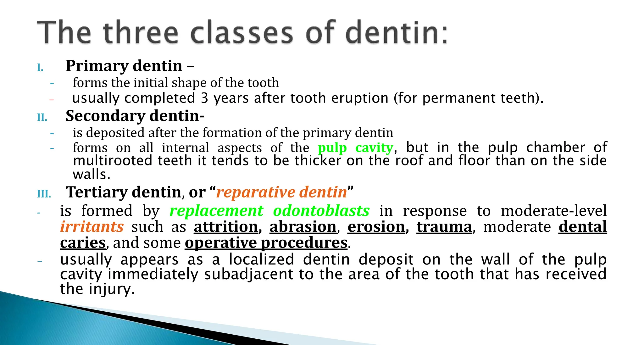 4. Dental Anatomy.pptx