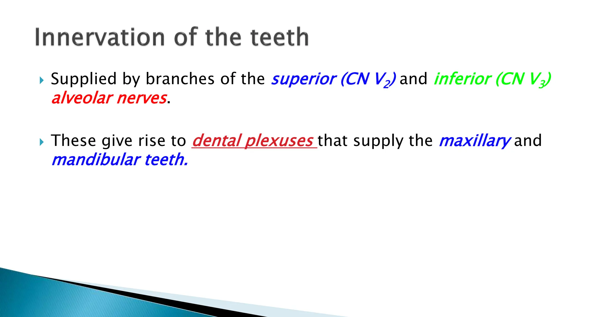 4. Dental Anatomy.pptx